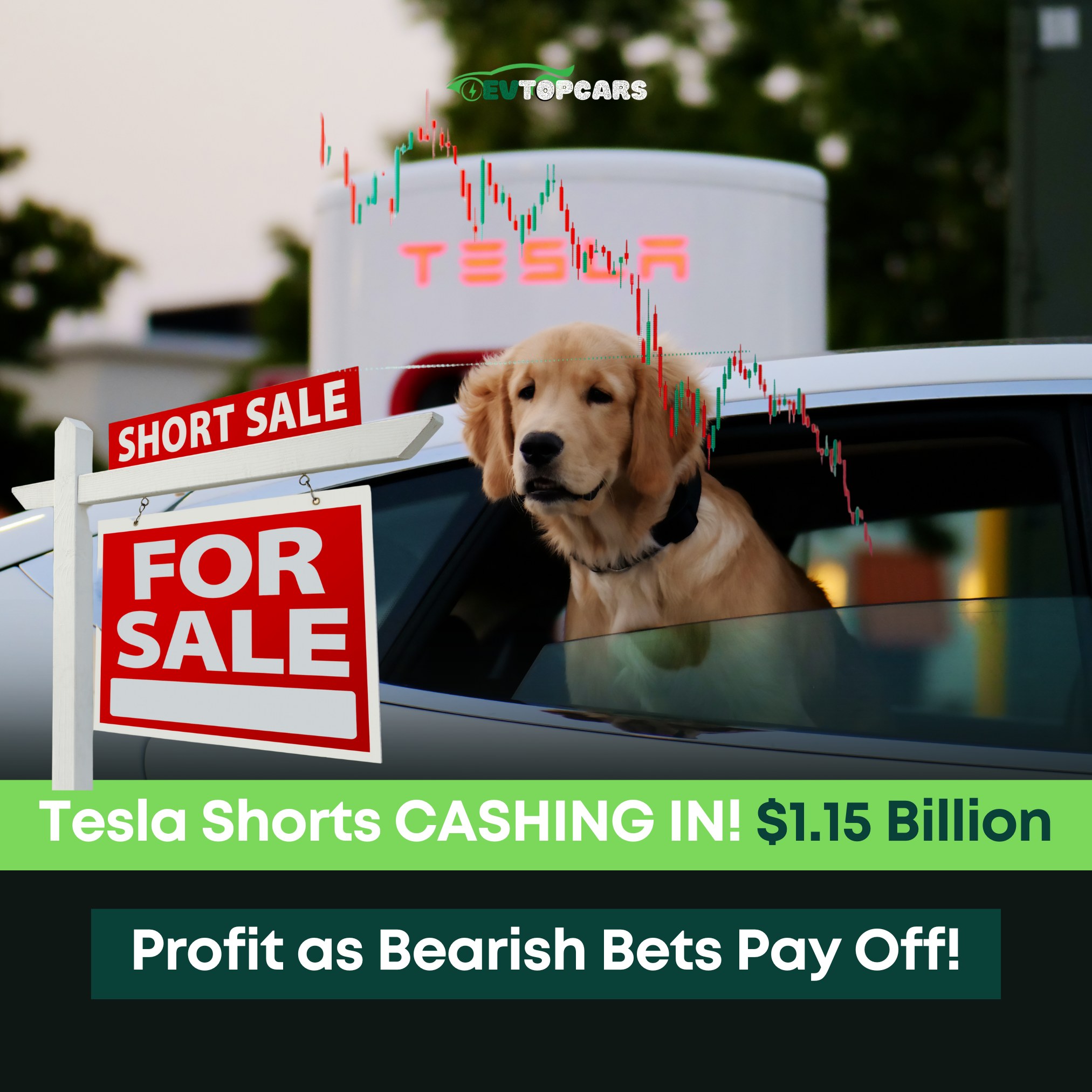 Tesla’s Rough Year: Short Sellers Up $11.5 Billion - EVtopcars